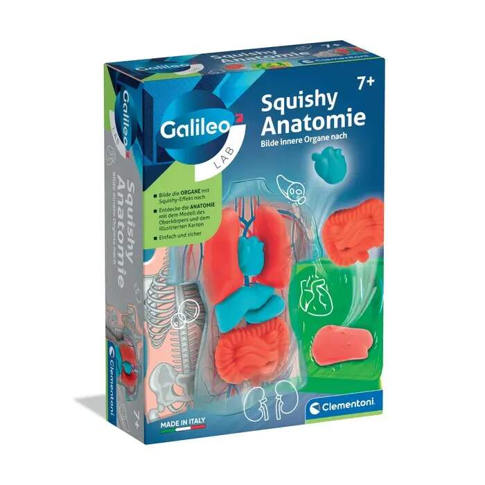 Squishy Anatomie | atalanda