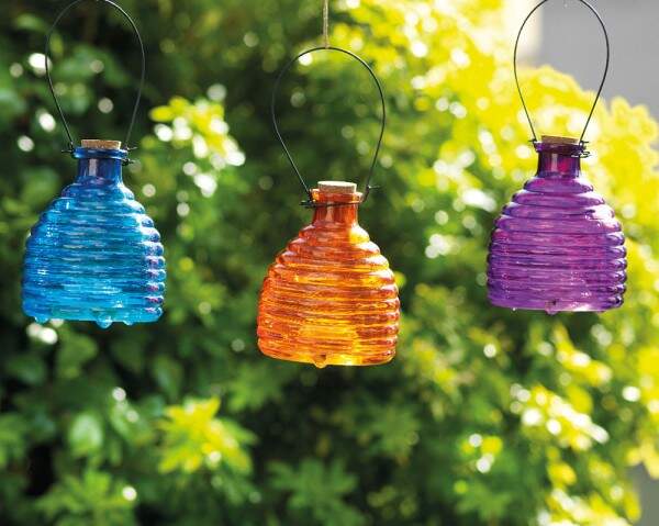 Wespenfalle Glas bunt | atalanda