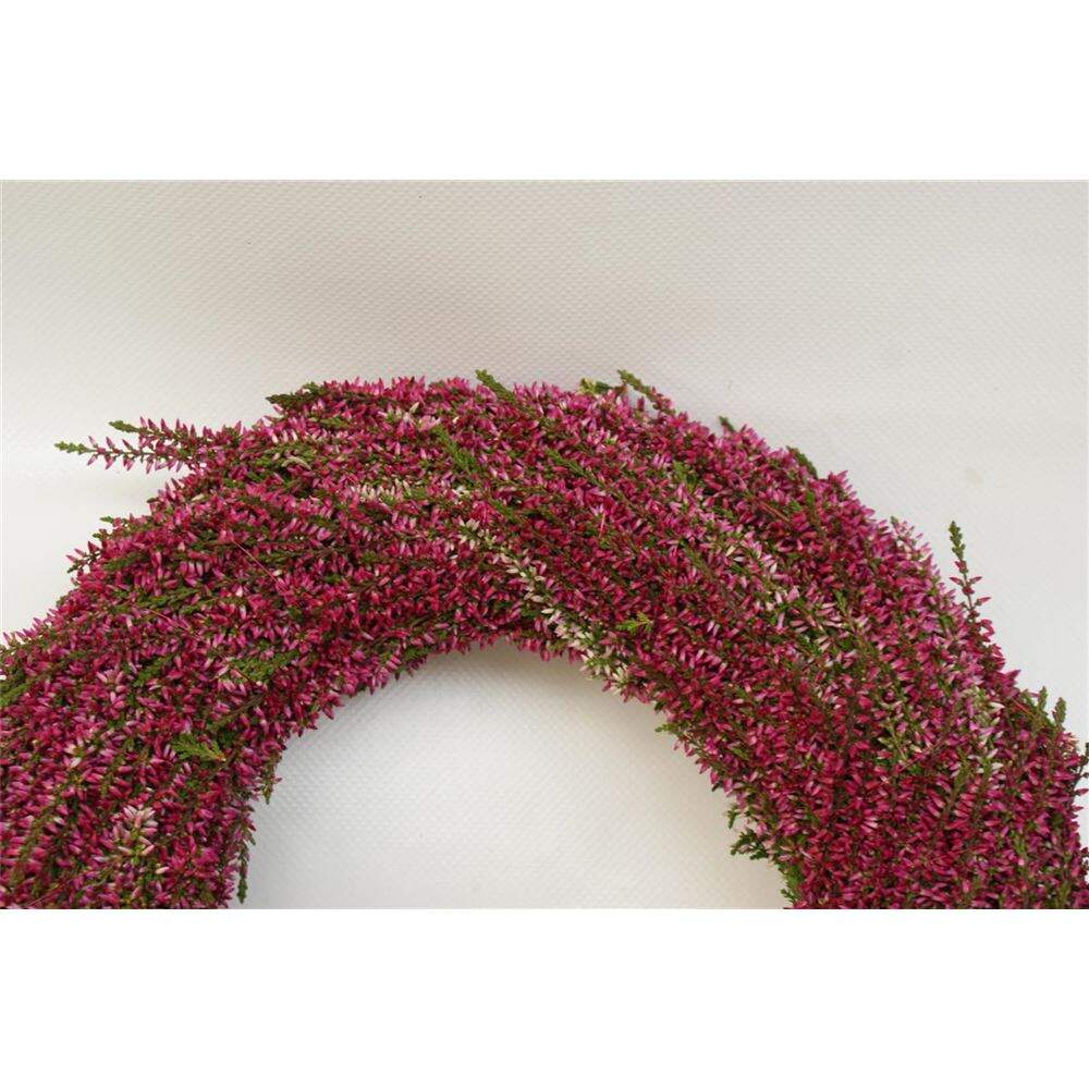 Blumen Eber Erika Kranz / Türkranz, frisch gebunden aus Eber`s ...