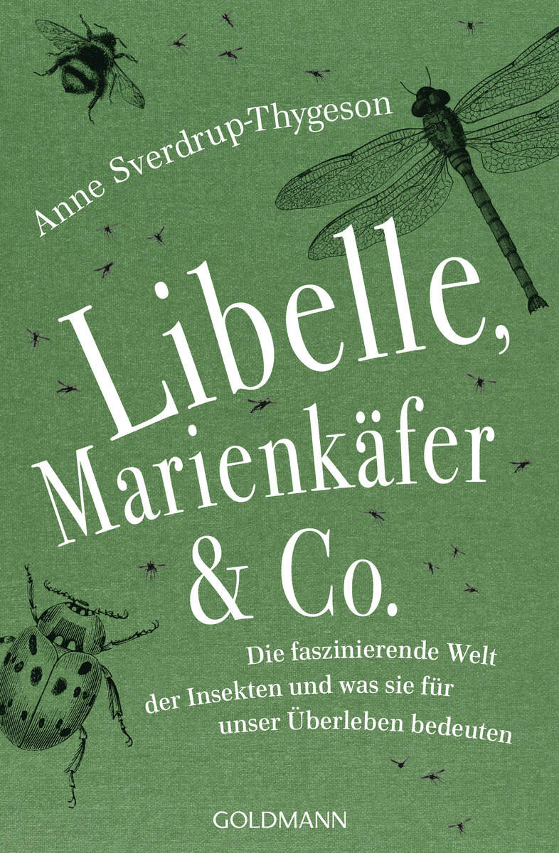Goldmann Verlag Sverdrup-Thygeson, Anne: Libelle, | Letzshop