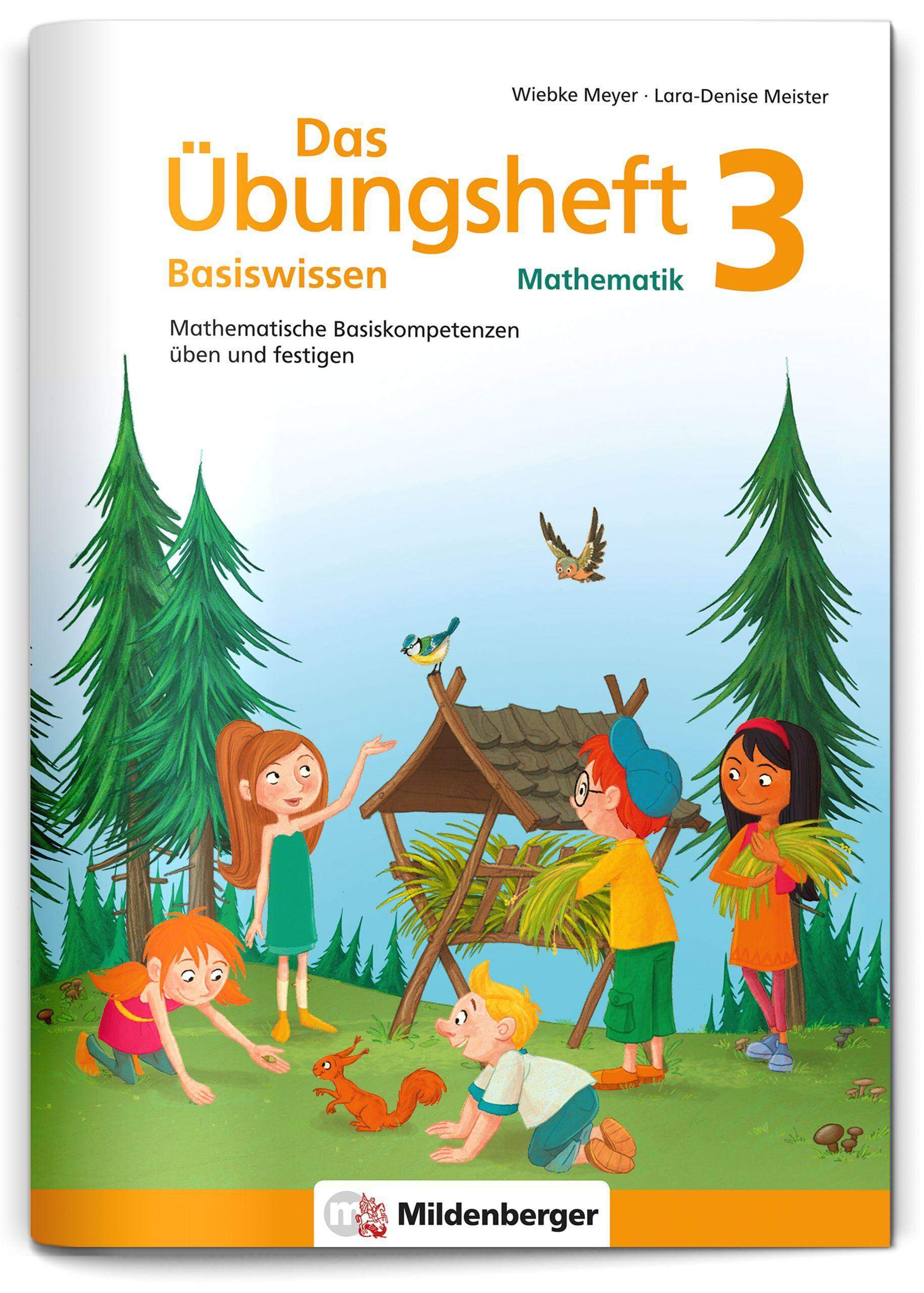 Das Übungsheft Basiswissen Mathematik 3 | Meyer, Wiebke; Meister, Lara ...