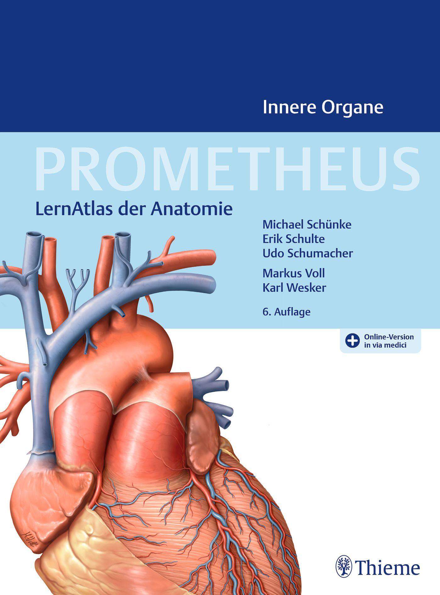 PROMETHEUS LernPoster der Anatomie, Knochen und Muskeln | Schünke ...